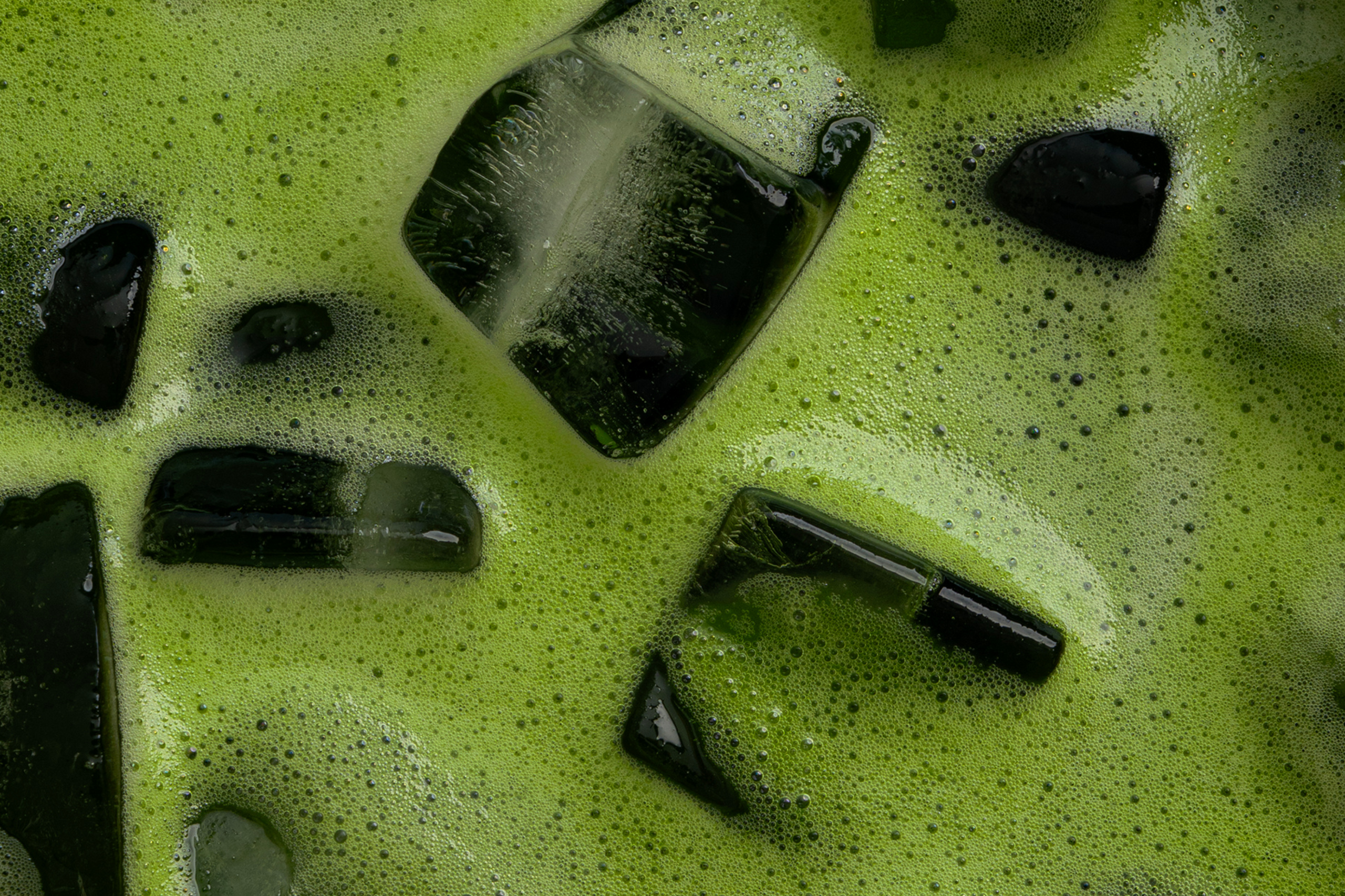 Maison Matcha – MAISON MATCHA